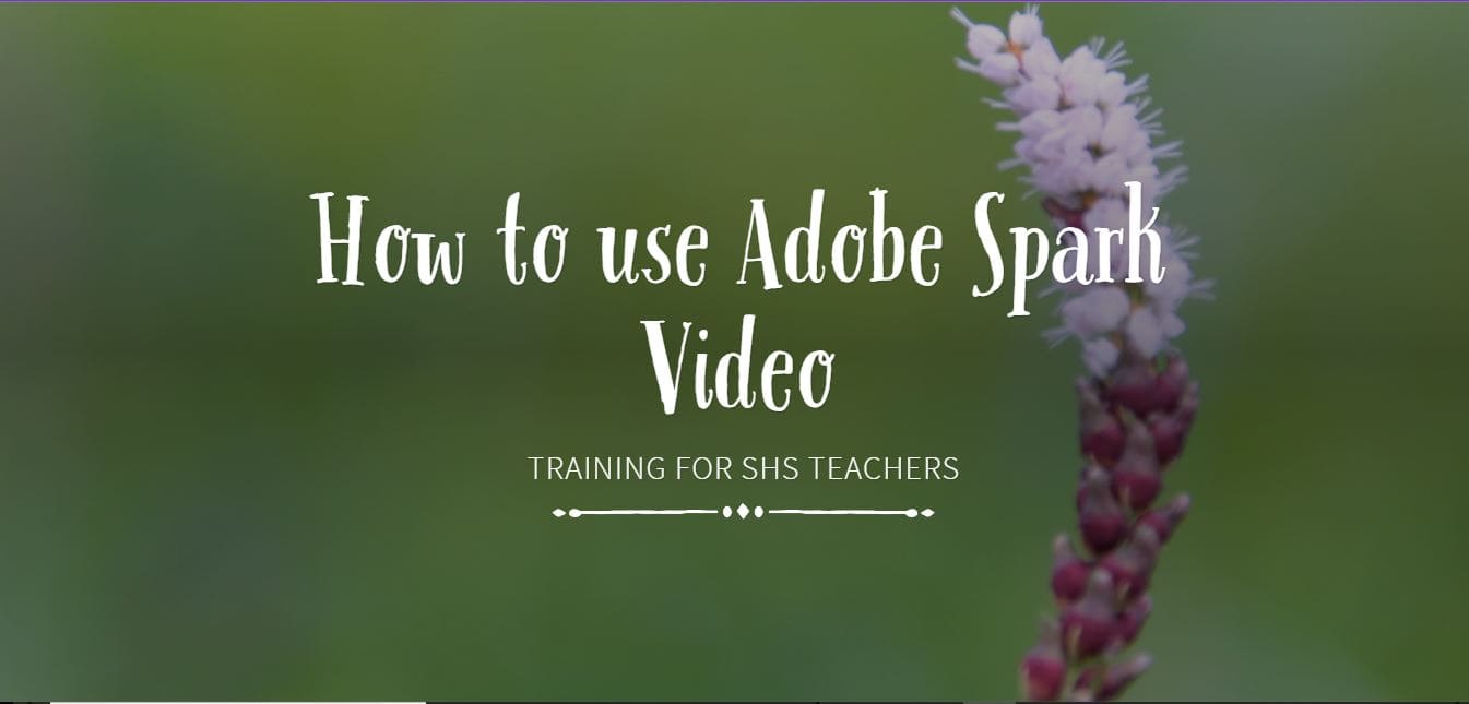 Adobe Spark - Creative Design and Content Creation Platform - Freakyseo